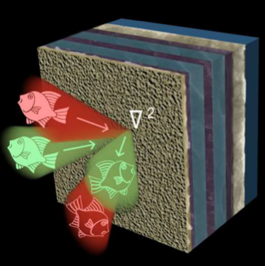 Optical image edge detection with a stack of just a few thin layers ...